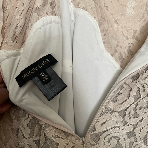 Tadashi Shoji | Dresses | 2 Tone Floral Lace Scallop Hem Belted Gown ...